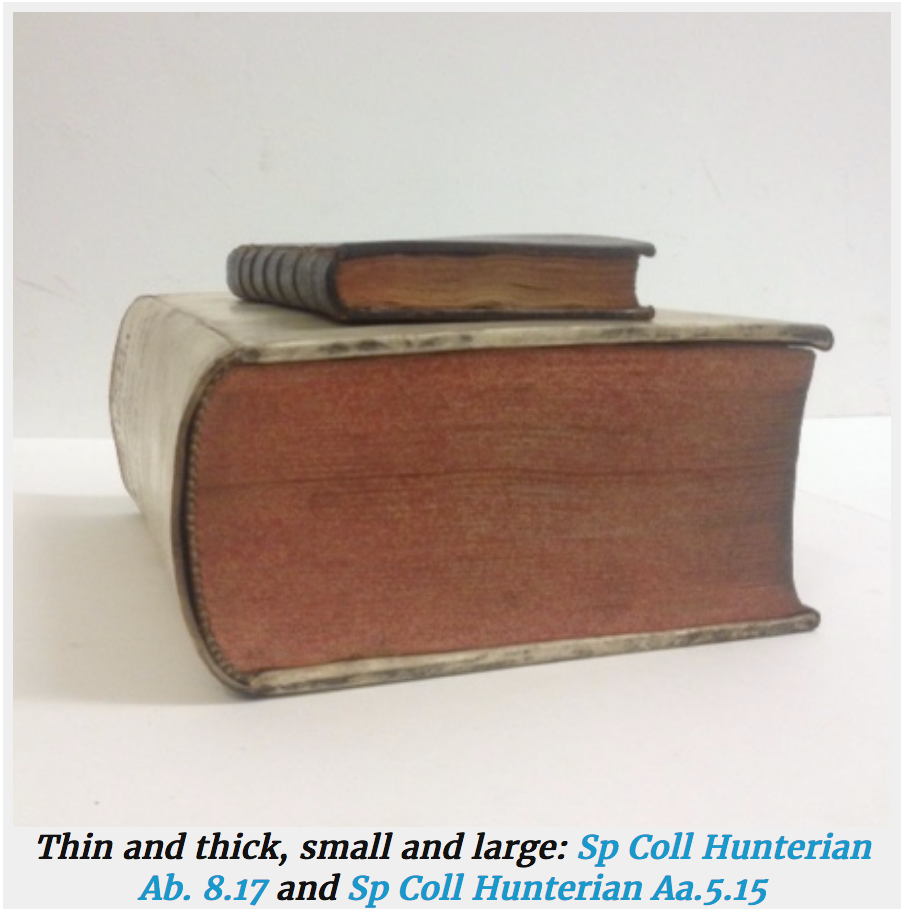 The Shapes and Sizes of Books | for.theloveofbooks.com